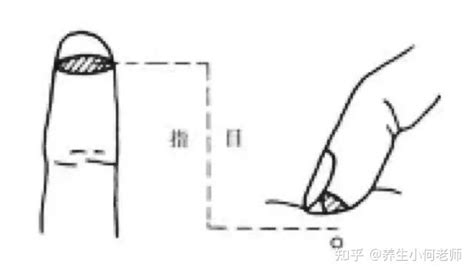 诊脉方法：举、按、寻，诊脉的时候到底要诊些什么？ 知乎