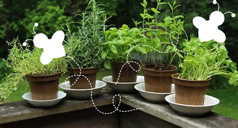 The Herbs And The Bees South Mississippi Living