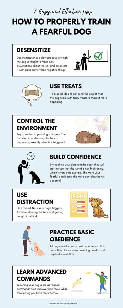 7 Effective Ways To Train Fearful Dogs