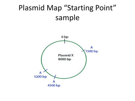 Ap Biology Biotechnology Part Ppt Download
