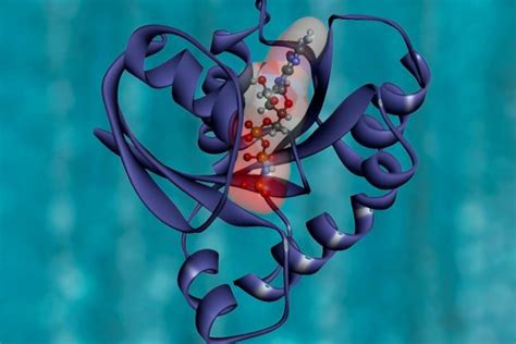 Whats The Difference Between Osdd 1a And Osdd 1b A Distinction All The Differences