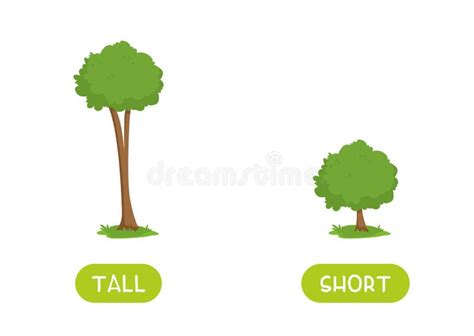 Tall Short Stock Illustrations 1399 Tall Short Stock Illustrations