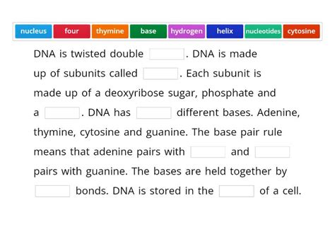 Structure Of Dna Complete The Sentence
