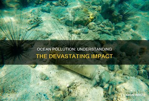 Ocean Pollution Understanding The Devastating Impact Shunwaste