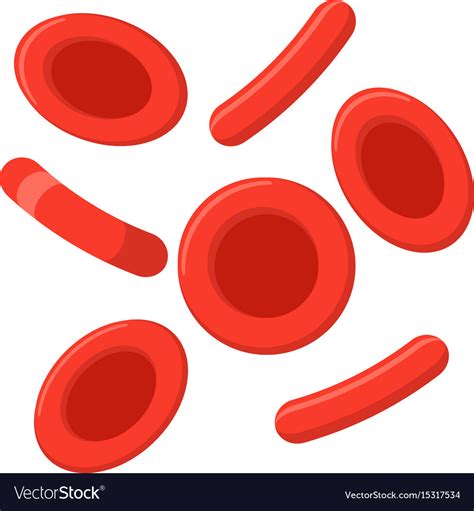 Red Blood Cells Royalty Free Vector Image Vectorstock