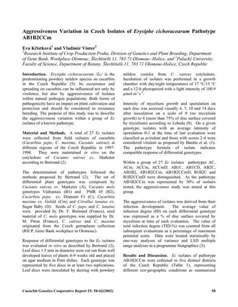 Erysiphe Cichoracearum