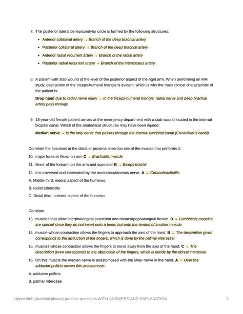 Solution Upper Limb Brachial Plexus Practice Questions With Answers