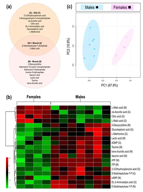 Characterising Sex Specific Metabolite Differences In New Zealand