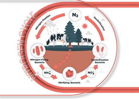 The Role Of Nitrogen Pollution In Aggravating South Asias Climate Crisis Factum