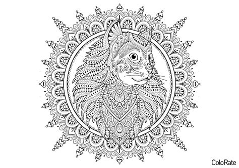 Раскраски Кошка Мандала - 69 фото