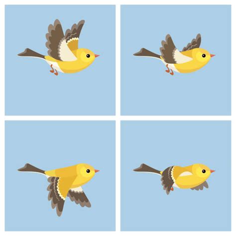 Bird Flying Animation Stock Vectors Istock