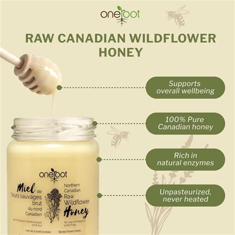 Mua Oneroot 100 Canadian Wildflower Honey 11 Lbs Unheated