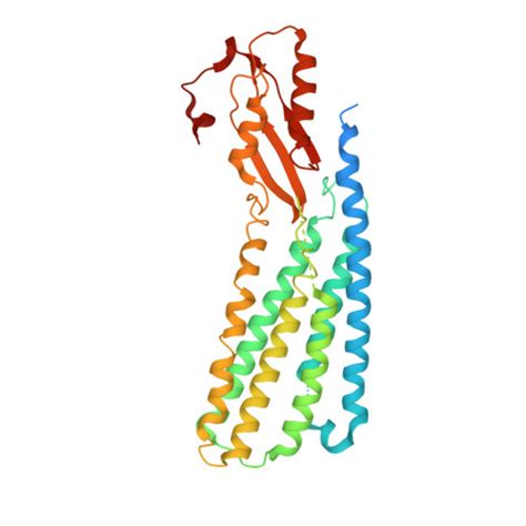 Rcsb Pdb 7y5g Cryo Em Structure Of A Eukaryotic Znt8 In The Presence