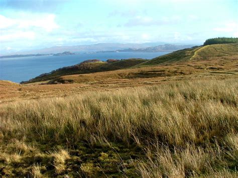 Rough Grassland © Dave Fergusson Geograph Britain And Ireland
