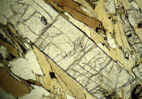 Kyanite Thin Section
