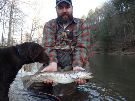 Pennsylvania Wild Trout Management An Editorial Keystone Fly Guides