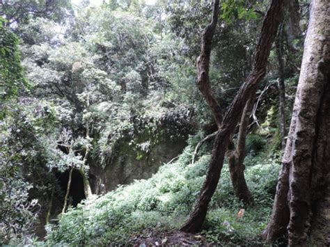 Devils Kitchen Kodaikanal Tamilnadu Tourism Kodaikanal Guna Caves