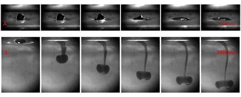 A Total Coalescence Of A Water Drop With The Interface Between Water