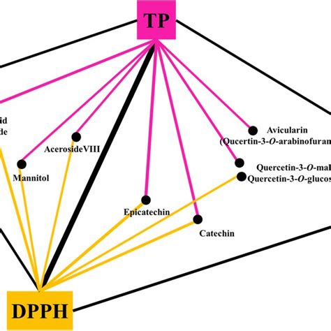 Correlation Networks Between The Metabolites And Bioactivity Assays