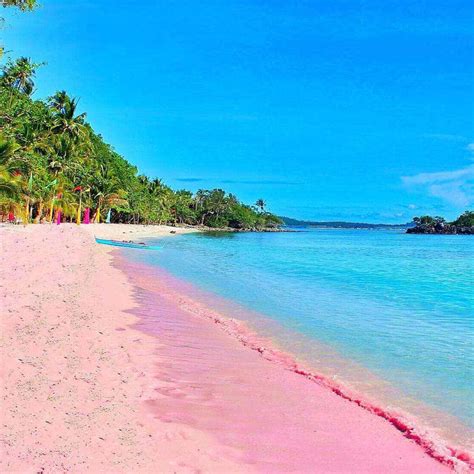 Download Pink Sand Beach In Philippines Wallpaper