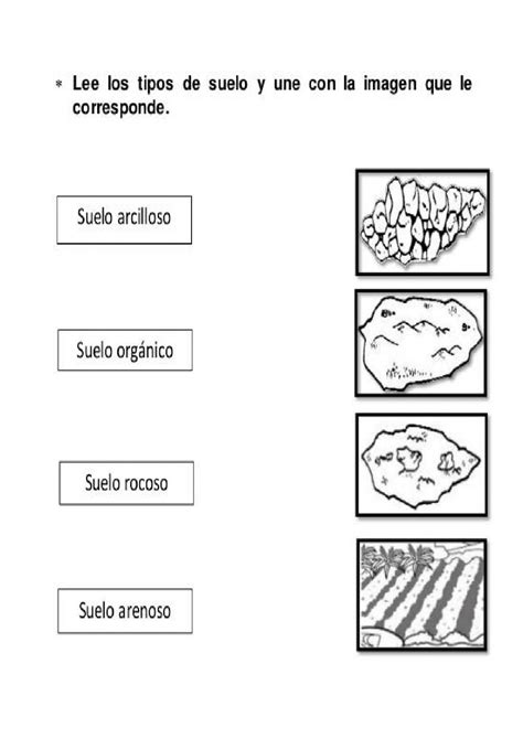 Hoja Para Colorear Capas De Suelo