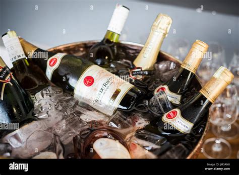 Alcoholic Drinks Bottles Tumblr