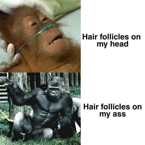 32 Shiny Bald Memes For The Follicly Challenged With An Abundance Of Humor