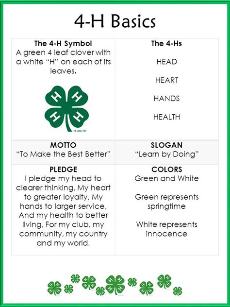 4 H Basics For St Patricks Day With Shamrocks And Irish Symbols 4 H