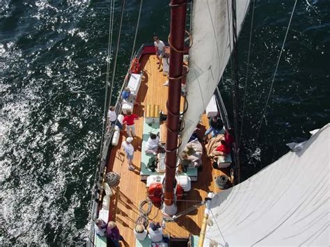 Schooner Appledore Ii Camden Day Sail Windjammer Cruises Tm2 Maine