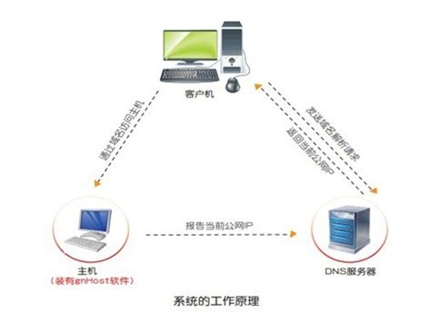 详解动态域名解析原理 美国主机侦探