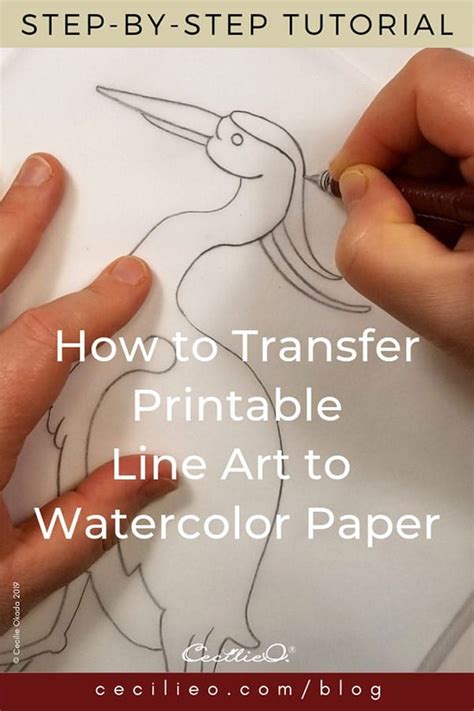 Free Watercolor Outlines