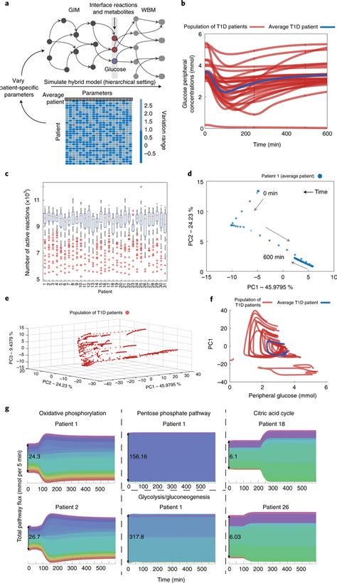 Interindividual Variability In Insulin Response Is Reflected In Key