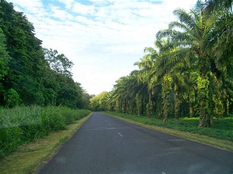 New Britain Highway Given K1385m Contract — News — Png Business News
