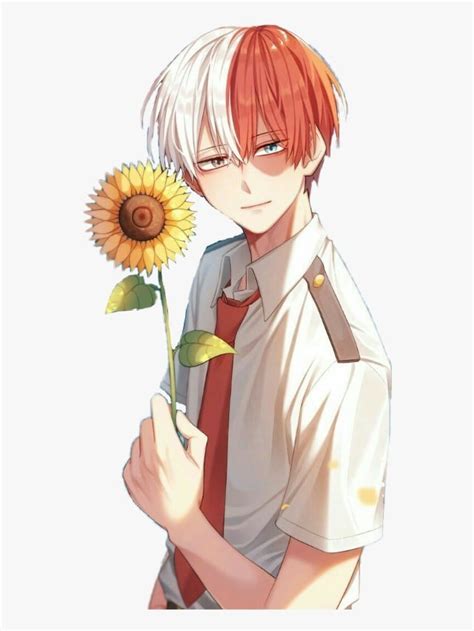Obrazki Z Shoto Todoroki Samequizy
