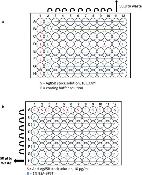 A Checkerboard Titration Schematic For Serial Dilution Of Antigen