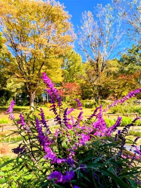 田中優子氏 講演会 幸喜幸齢 生きがい日記