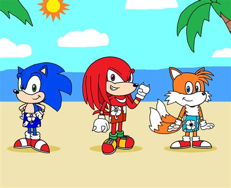 Sonic And The Legendary Luau Brothers By Adrianmacha20005 On Deviantart
