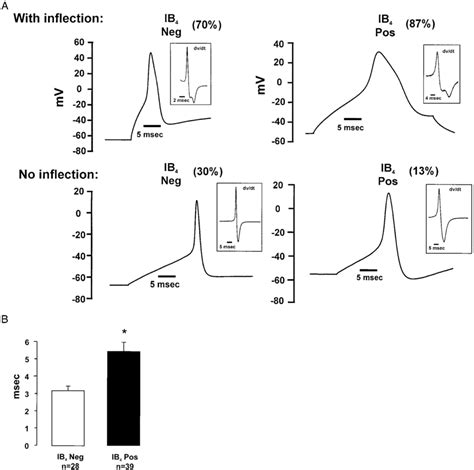 A E Xamples Of Aps In I B 4 Positive And Negative Neurons With Top Download Scientific