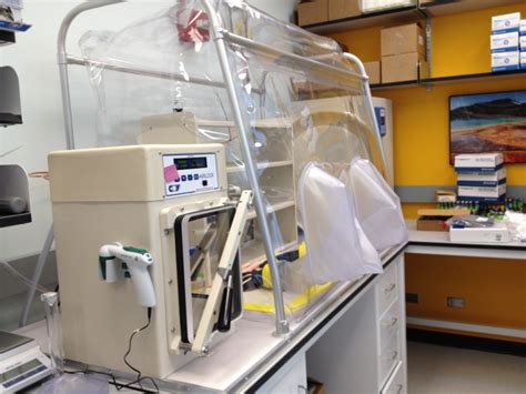 Bug Lab
