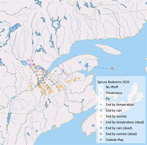 Spruce Budworm Maine Home Facebook