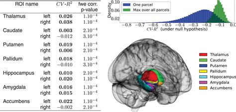 results of the real data analysis procedure left predictive accuracy