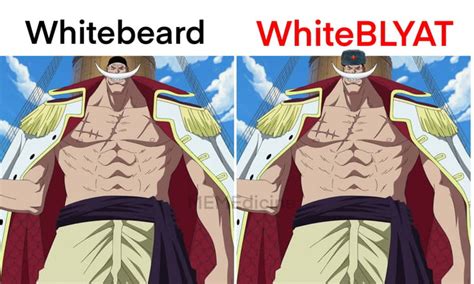 Whitebeard 9gag