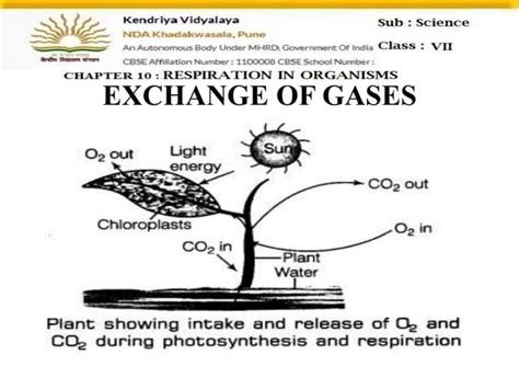 Class 7 Chapter 10 Ppt 2 Ppt