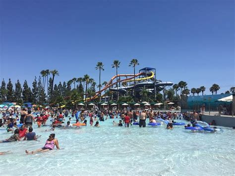 Another Great Knotts Park Knotts Soak City Water Park Buena Park