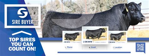 Select Sires Beef Added A New Photo Select Sires Beef