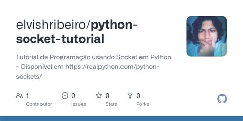 Github Elvishribeiropython Socket Tutorial Tutorial De Programação