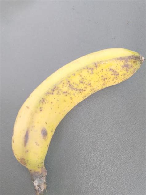 Bananas Classification Dataset By Practicem10