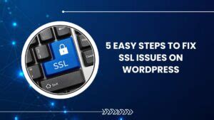 How To Easily Fix All SSL Issues In WordPress Seahawk