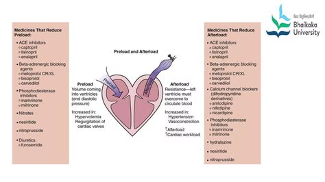 Pediatric Hypertension Ug Ppt