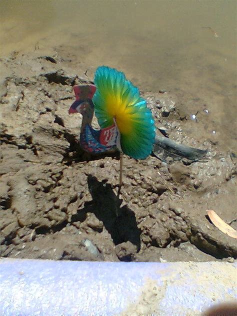 Peacock In The Mud By Darth Sparrowhawk On Deviantart